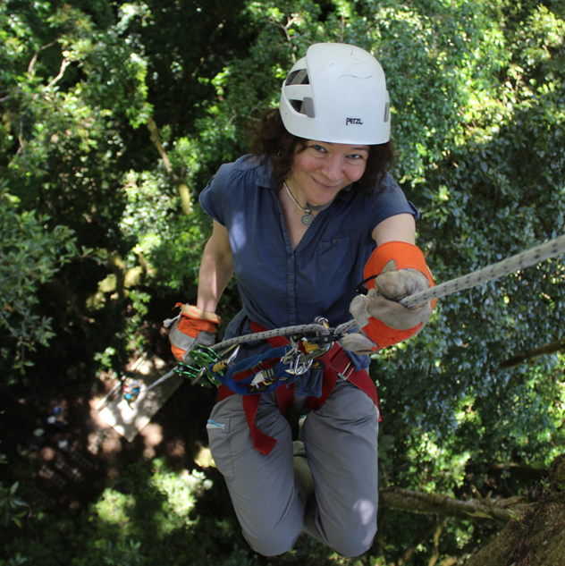 Clare, Director of International Publishing - Harry Potter | Our People ...